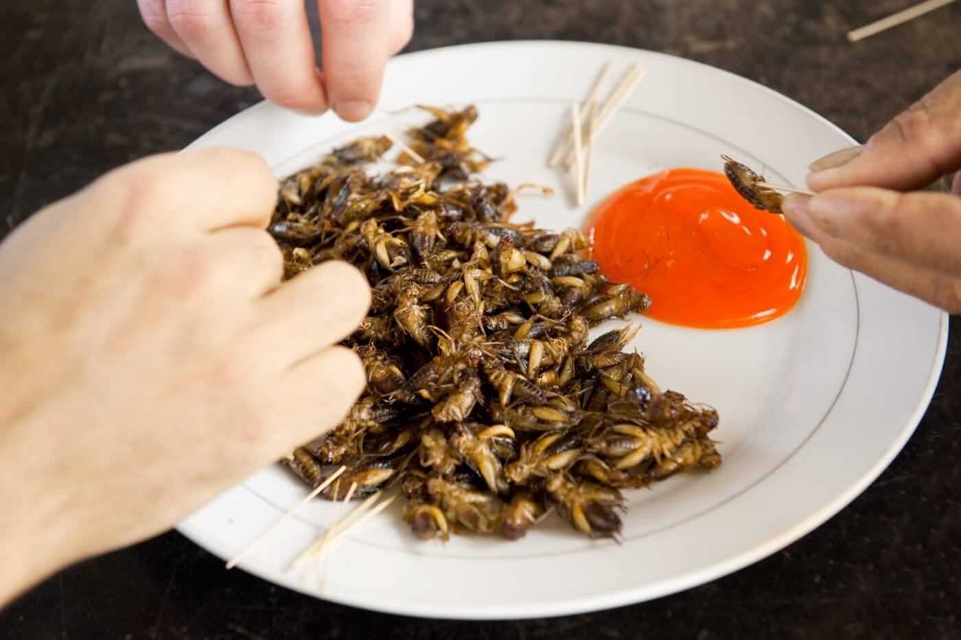 Gratis reizen! Als je tenminste insecten wil eten... | Wereldreizigersclub