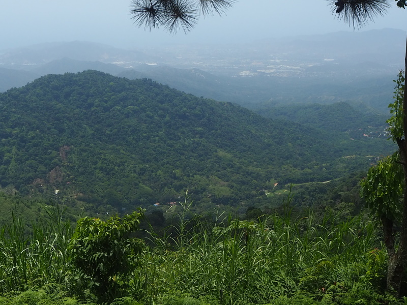 Wat te doen in Minca, Colombia: 7 tips! | Wereldreizigersclub