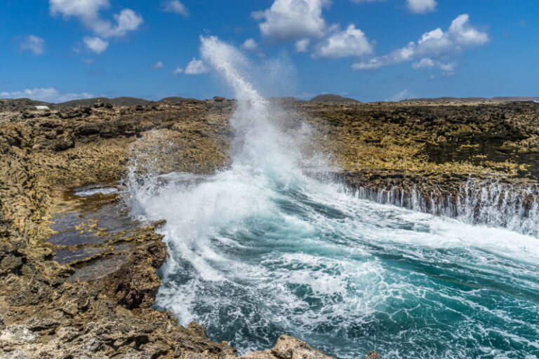 De natuur in op Curaçao: 8 tips! | Wereldreizigersclub