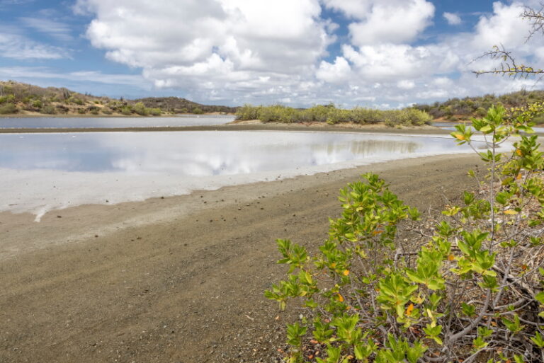 De natuur in op Curaçao: 8 tips! | Wereldreizigersclub