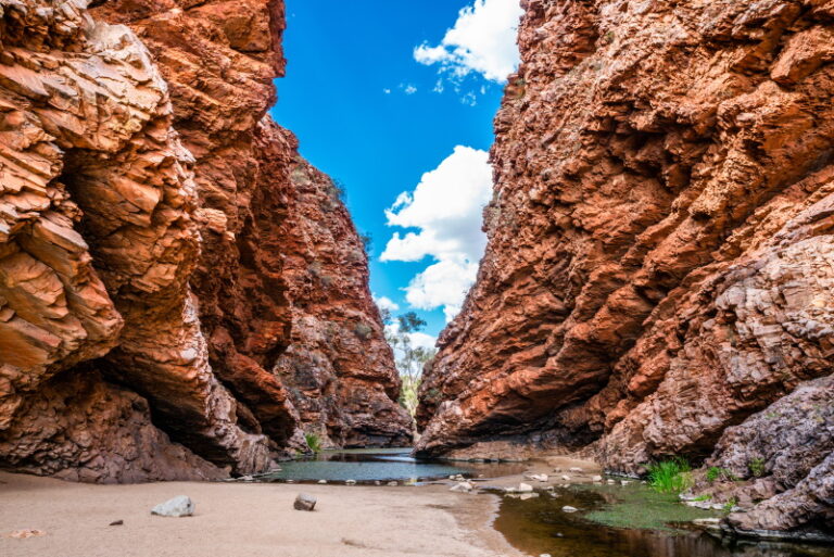 Wat te doen in Alice Springs: 10 tips! | Wereldreizigersclub