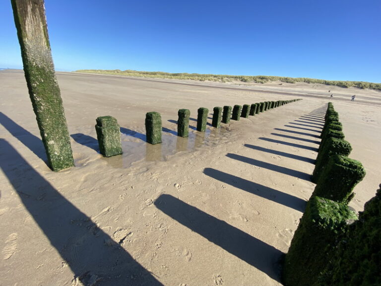 Wat doen in Burgh-Haamstede: 10 tips! | Wereldreizigersclub